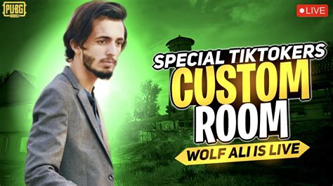 Famous Tiktokers And Youtubers Custom Rooms🎯 Pubg Mobile Wolf Ali Is