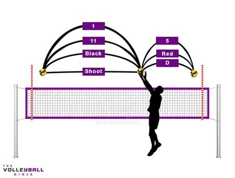 The Different Types Of Volleyball Sets To The Antennas In My Province