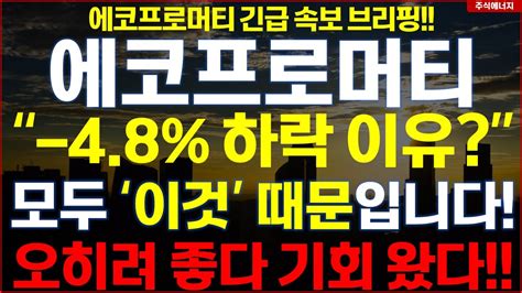 에코프로머티 48 하락 이유 모두 이것 때문입니다 오히려 좋다 기회 왔다 에코프로머티 긴급속보 브리핑 Youtube