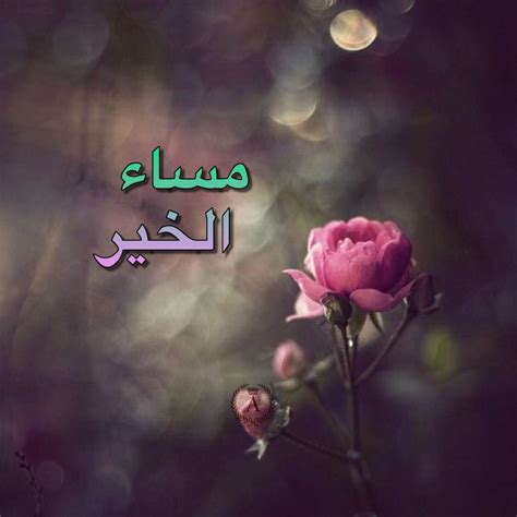 ما يحلو المساء الا بوجودكم اجمل كلام مساء الخير صور جميلة