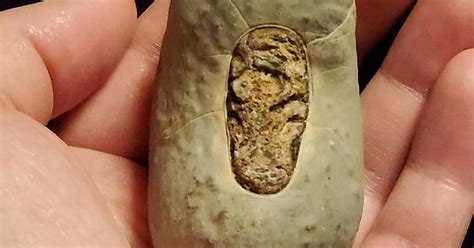 Weird Rock Found At Murdock Beach Wa Album On Imgur