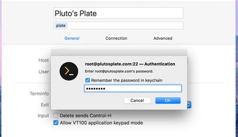 Codinn Core Shell For Macos Download Latest 2025 Filecr