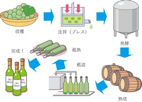 実験講座 番外編 カリフォルニア州のワイン造り その1