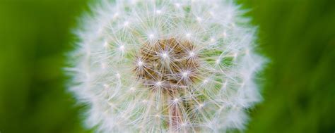 Jquery Slider With Next And Previous Buttons Jquery Slider Wordpress Slideshow Jquery Video