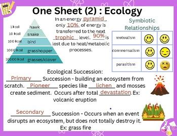 BIO STAAR Review One Sheet Notes Ecology 2 By Mrs Nevilles One Sheets