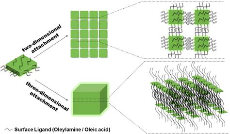 The Scheme Of Stacking Perovskite Ncs Of The 2d And 3d Attachment Download Scientific Diagram