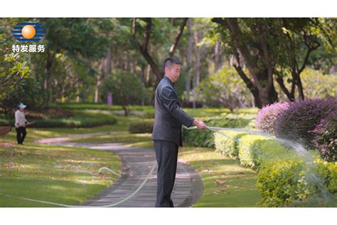 深圳市特发服务股份有限公司2021年度网上业绩说明会