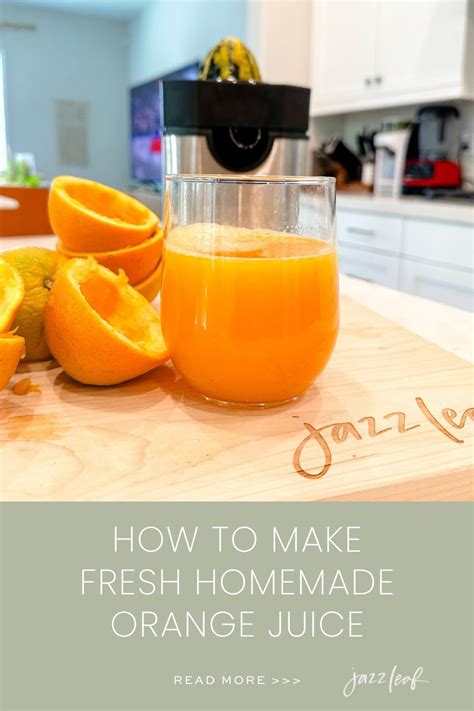 Orange Fruit Juice Ingredients