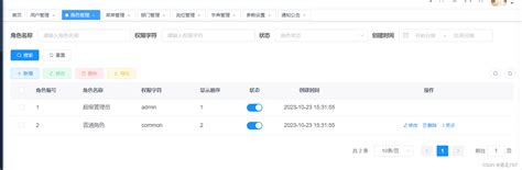 ruoyi功能介绍 csdn博客