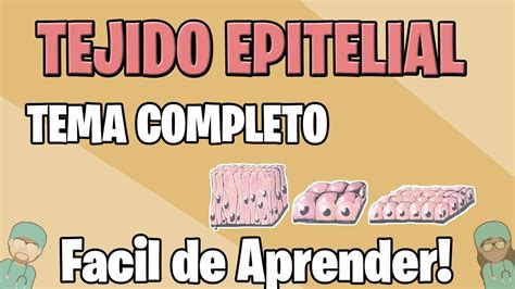 Cuál es el papel del cuestionario sobre tejido epitelial VALETRY