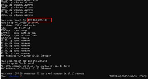 nmap超详细使用教程 csdn博客