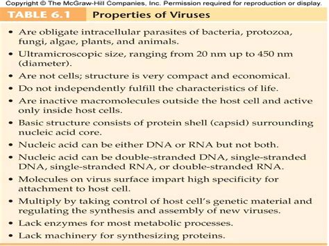 A Brief Introduction Of Viruses PPT
