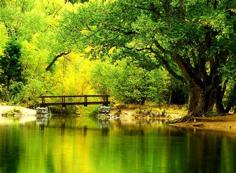 Schönes Hintergrundbild Natur Herbst Grüne Download kostenlose