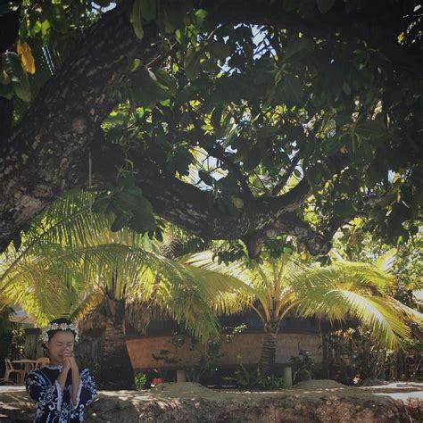 チョン・ユミさんのインスタグラム写真 チョン・ユミinstagram「🌴🌳🕊」3月18日 23時07分 Jungyumi