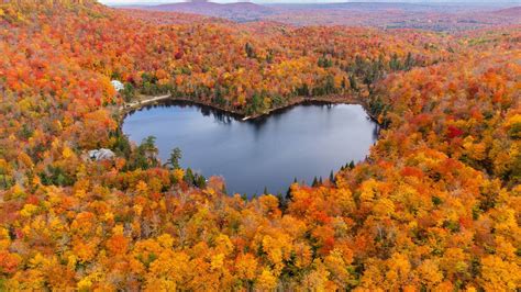 2025 Fall Foliage Map Tracker See Which Quebec Areas Are Hitting Peak Now