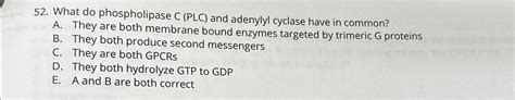 Solved What Do Phospholipase C PLC And Adenylyl Cyclase Chegg