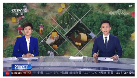 广西富川272万亩脐橙丰收 橙果香满园种植发展龙飘