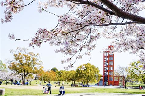 春日井市落合公園でBBQができる 落合公園トライアルサウンディングai ある kasugai 広場ではいつもと違う落合公園が