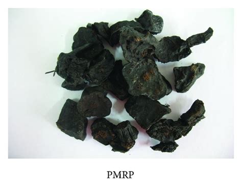 Photographs Of Polygoni Multiflori Radix And Its Processed Products