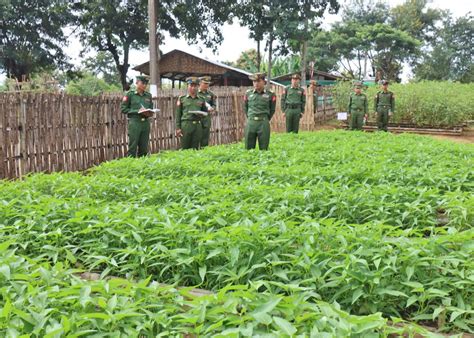ဒေသတွင်းစိုက်ပျိုး၊ မွေးမြူရေးနှင့် ကုန်ထုတ်လုပ်မှုလုပ်ငန်းများ ရာနှုန်းပြည့် အောင်မြင်အောင