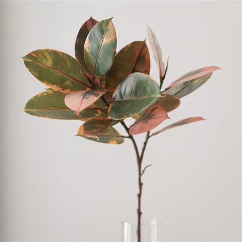 Artificial Large Variegated Leaf Dunelm