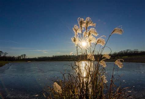 Kostenlose foto Landschaft Meer Küste Baum Wasser Natur Ozean