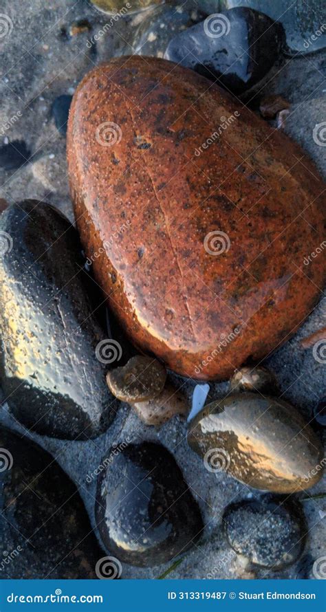 The Old Melted Rocks Of Swamis Beach Stock Image Image Of Palms