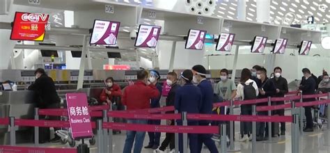 “追极光”“冰雪”“旅拍”旅游业腾跃激昂 消费市场“新新”向荣新闻频道央视网