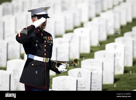A Poignant Moment Unfolds As A Marine Plays Taps Honoring A Fallen