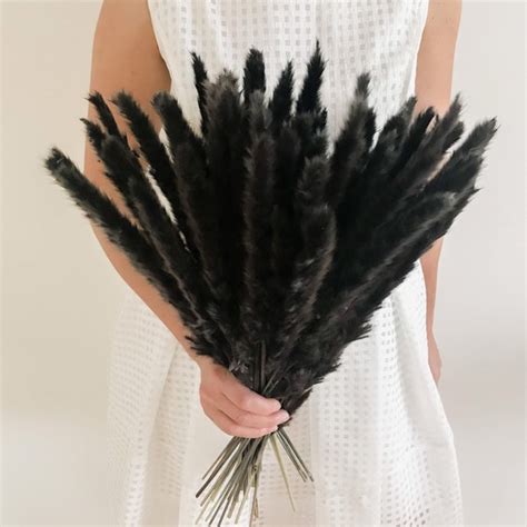 Black Pampas Grass Trending Decor Home Decoration Dried Etsy
