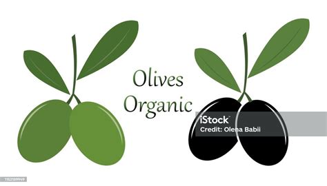 橄欖圖示向量例證標誌白色背景上的綠色和黑色橄欖向量向量圖形及更多健保和醫療圖片 健保和醫療 健康的生活方式 剪裁圖 Istock