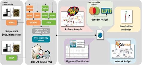 Biovlab Mmia Ngs Microrna Mrna Integrated Analysis Using High
