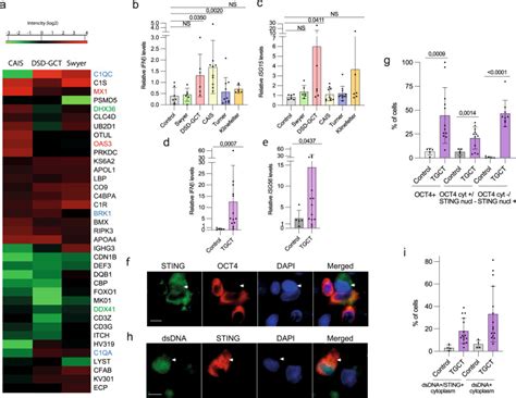 Genomic Instability In Individuals With Sex Determination Defects And