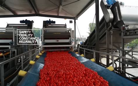 Tomato Sorting Machines Quadra Machinery