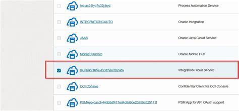 Granting Instance Access In Oic Integration 3 User Access Guide