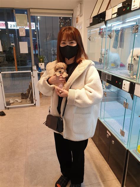 분양후기 02 10 말티푸 분양후기 강아지를 진심으로 사랑하는 소녀에서 시작된 브랜드 YOURPET 유어펫 고객후기