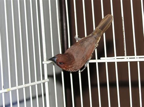 Pict0617 Servimg Com Free Image Hosting Service