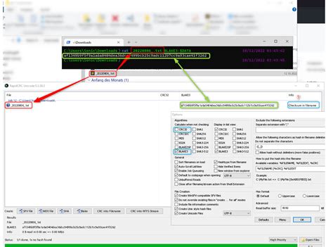 NTFS Stream Will Not Be Checked If Checksum In Filename Issue 179