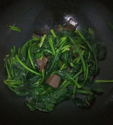 滋陰潤燥舒肝養血還是人體污物的清道夫五分鐘的快手菜 每日頭條