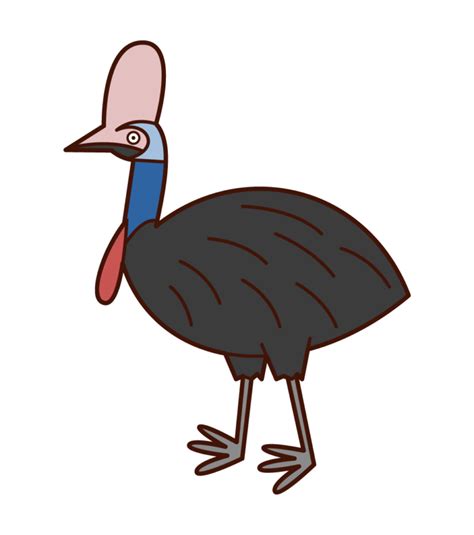 흰 꼬리 새의 그림 무료 일러스트 소재집 Kukukeke