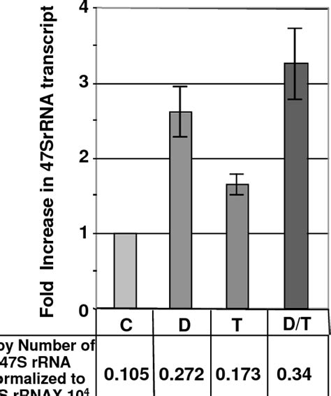 Figure 2 From Role Of Dna Methyltransferases In Regulation Of Human