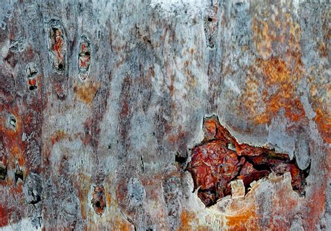 Daniel Montero Portfolio Natural Fotografía De Naturaleza De Autor