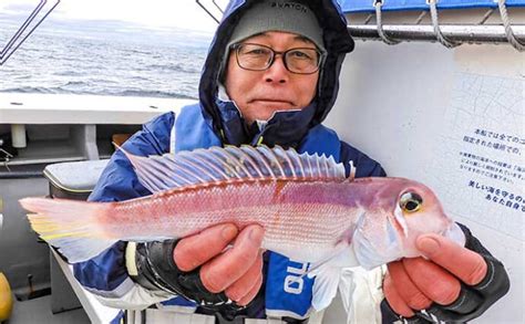 相模湾アマダイ釣りで45cm頭にトップ4尾椿丸 好ゲストに巨大イトヨリ TSURINEWS
