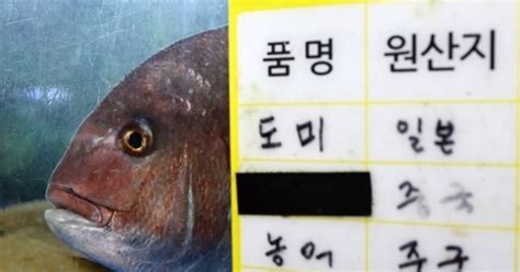 ‘d 1 후쿠시마 원전 오염수 방류이미 日어패류 수입액 넉달째 감소