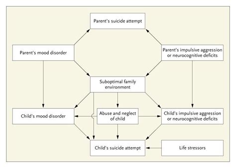 Familial Pathways To Suicidal Behavior — Understanding And Preventing