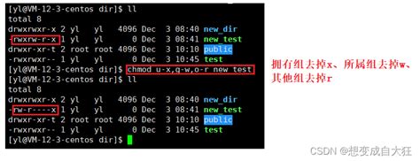 Linux权限管理（umask、粘滞位）chmod T Csdn博客