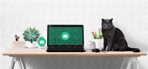 Wireframe Mockup Prototype Quelles Différences