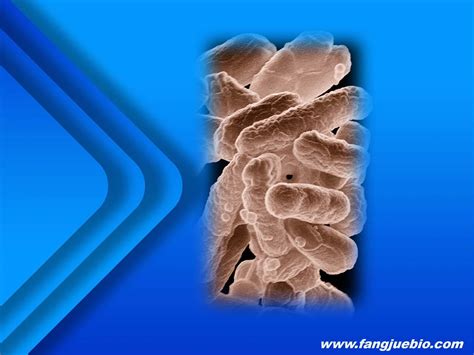 微生物资源与技术服务平台 方觉生物官网