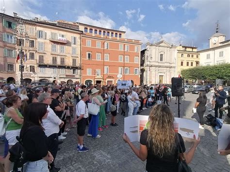 Anagni Capretta Presa A Calci Durante Una Festa Condannato L