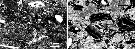 Micrographs Of Thin Sections Plane Polarized Light Ppl From The